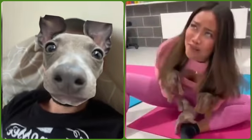 Кога е во прашање ваква девојка машкото ако треба ќе се претвори и во куче Мотика