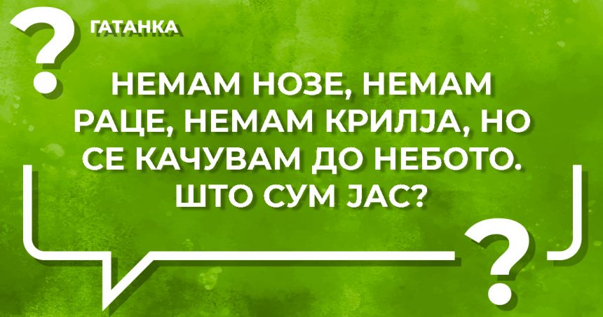 „Што сум јас?“ 12 гатанки за деца кои можат да ги збунат дури и ...