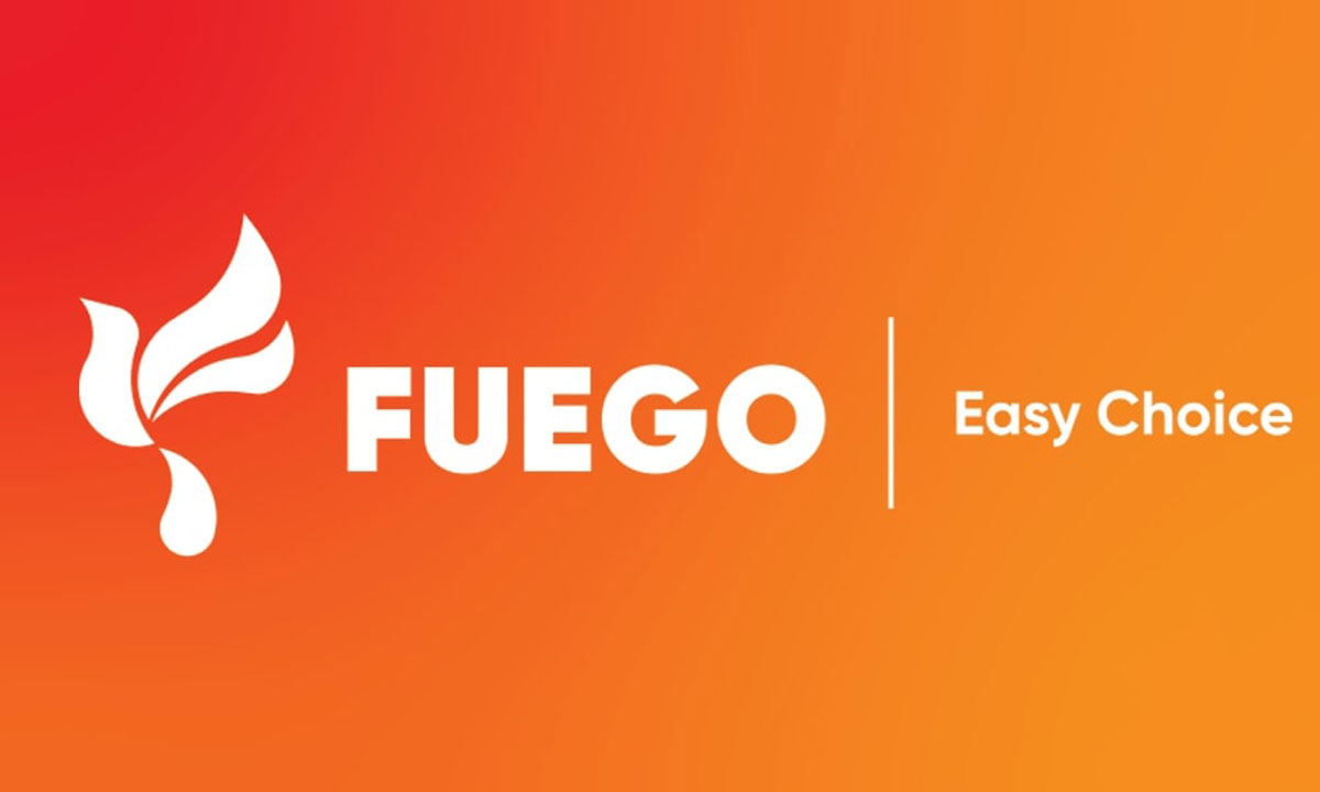 Откријте го врвното искуство на гледање со FUEGO Electronics и новата серија 720GTV на Google TV ...